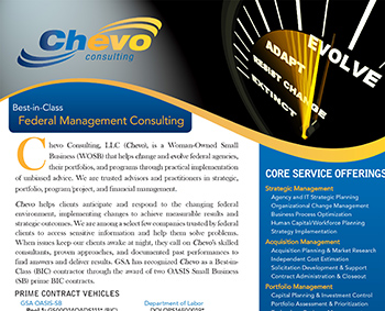 Chevo Consulting LLC | Home